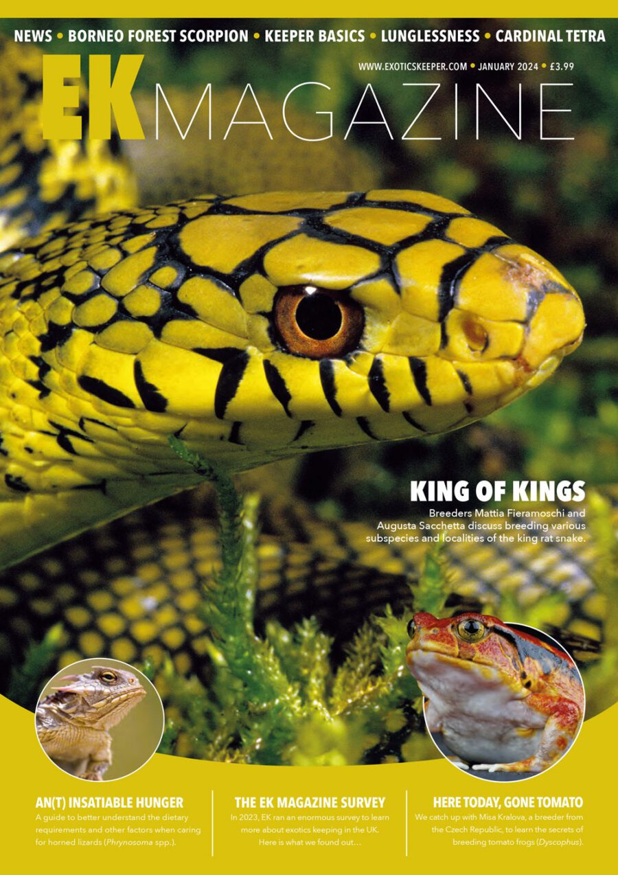 Home | Exotics Keeper Magazine