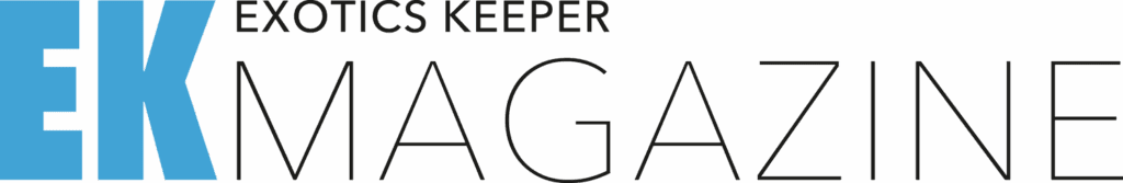 A Vet’s Care Guide for White’s Tree Frogs | Exotics Keeper Magazine